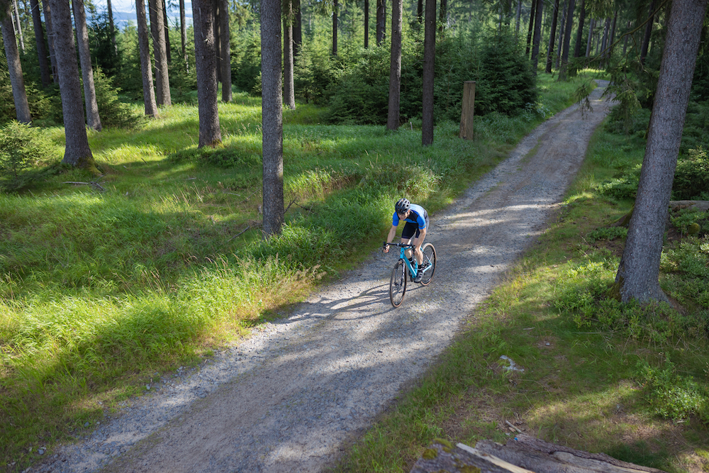 Bosch Drive Unit Performance Line CX 85Nm (BDU38), Smart System-Archiv