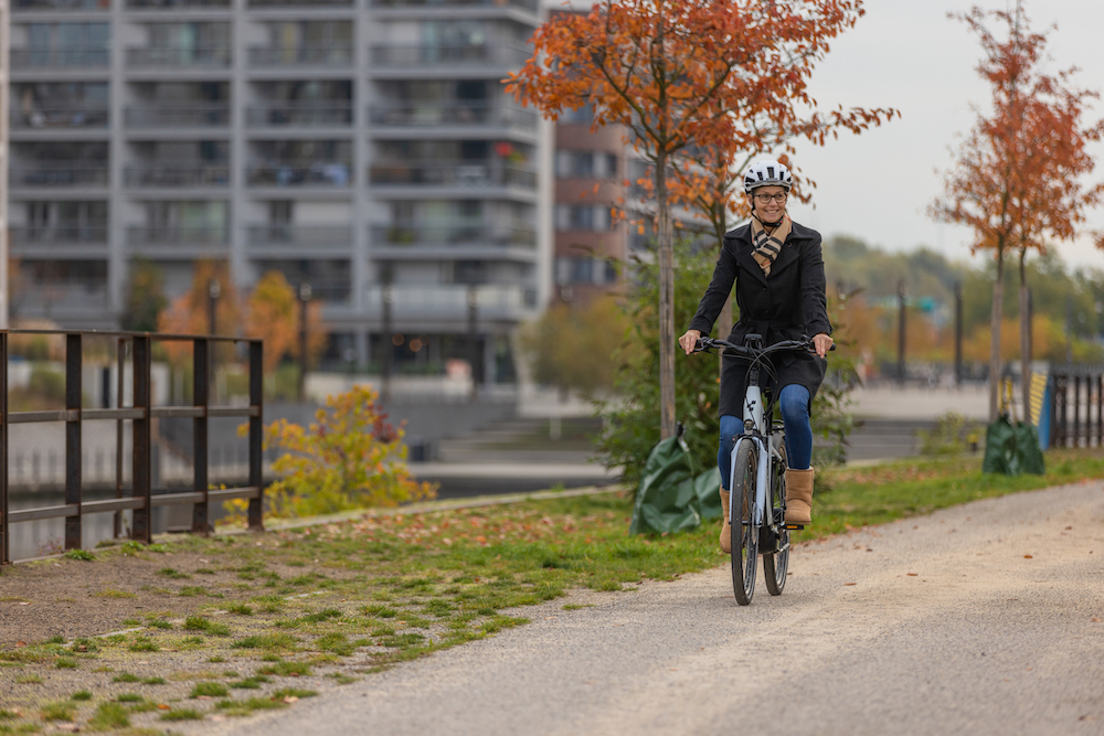 Bosch Drive Unit Performance Line CX 85Nm (BDU38), Smart System-Archiv